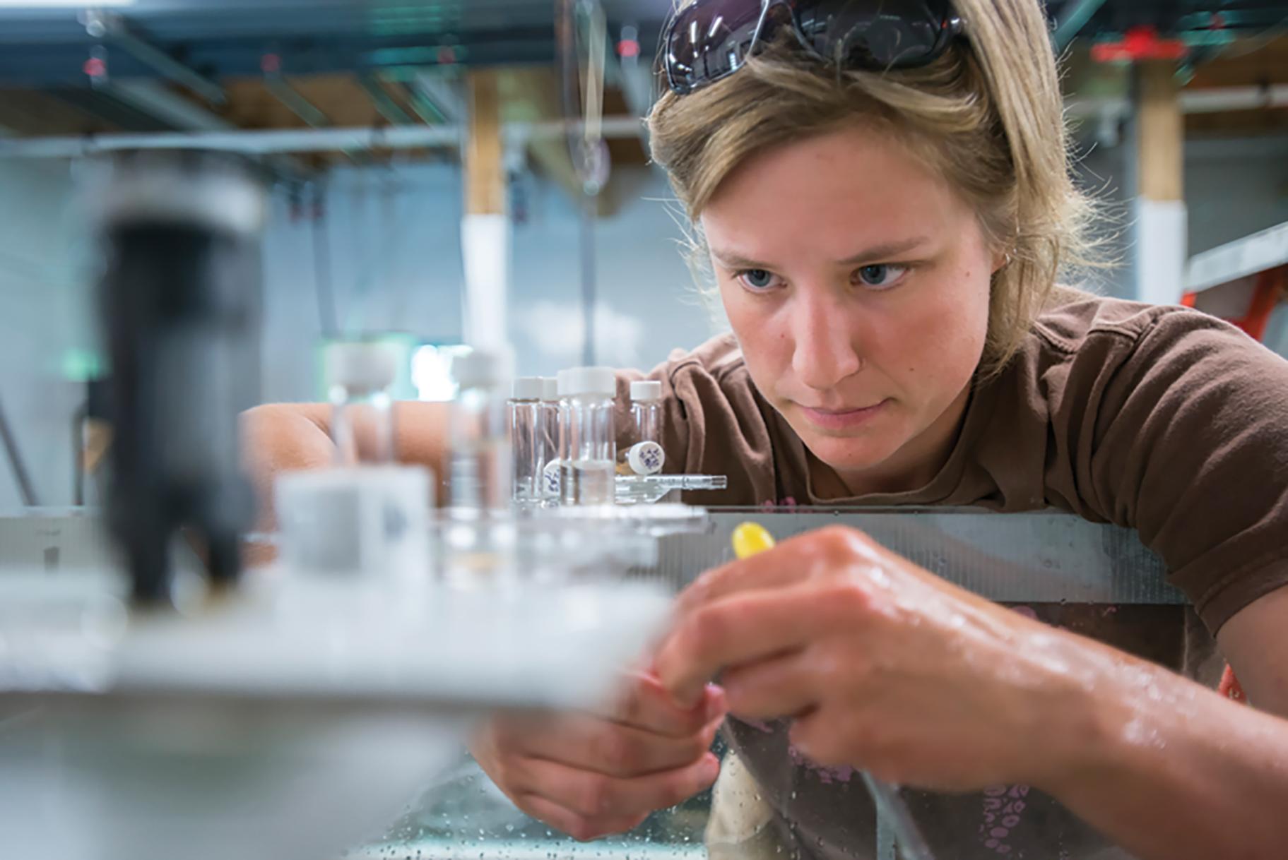 Skylar Bayer | The Henry David Thoreau Foundation